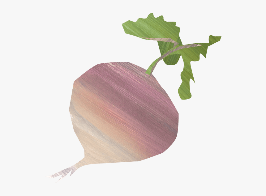 Beetroot, HD Png Download , Transparent Png Image - PNGitem