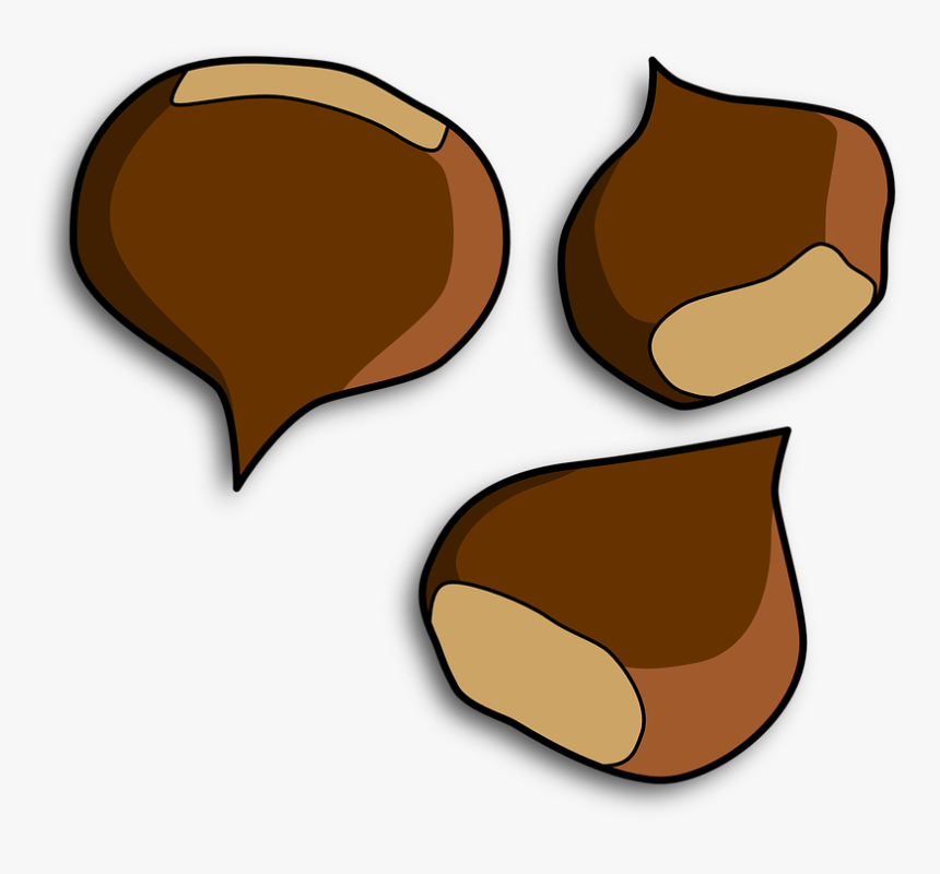 Transparent Chestnut Png - Chestnut Clipart, Png Download , Transparent ...