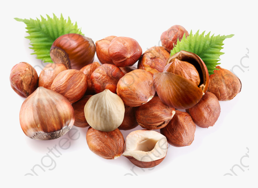 Transparent Nuts Png - Chestnut Png, Png Download , Transparent Png ...
