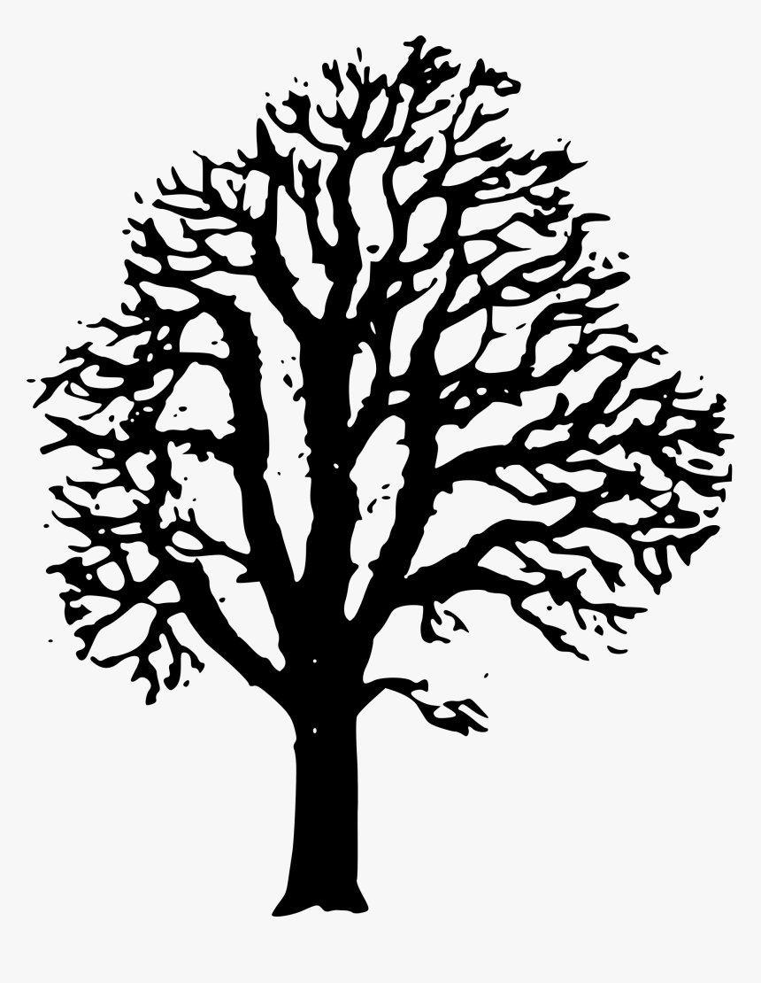 Horse Chestnut Tree Silhouette, HD Png Download , Transparent Png Image ...