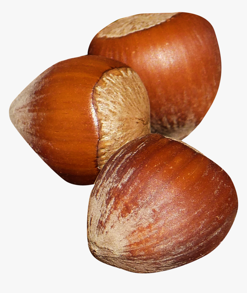 Chest Nuts Png Transparent, Png Download , Transparent Png Image - PNGitem