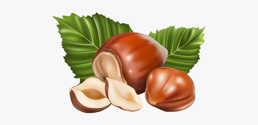 Nuts Vector Png, Transparent Png , Transparent Png Image - PNGitem