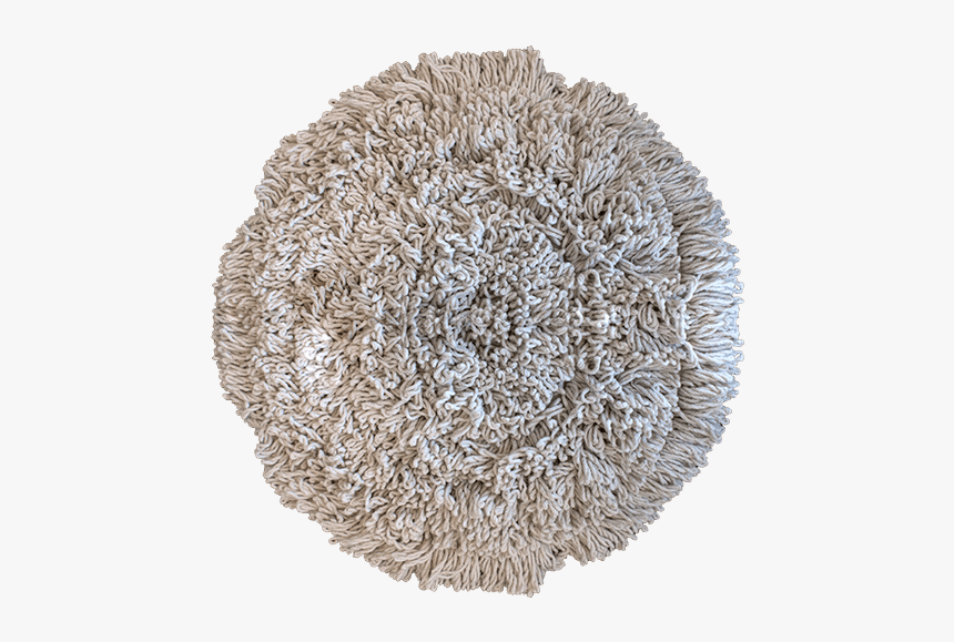 Marine Invertebrates, HD Png Download , Transparent Png Image - PNGitem