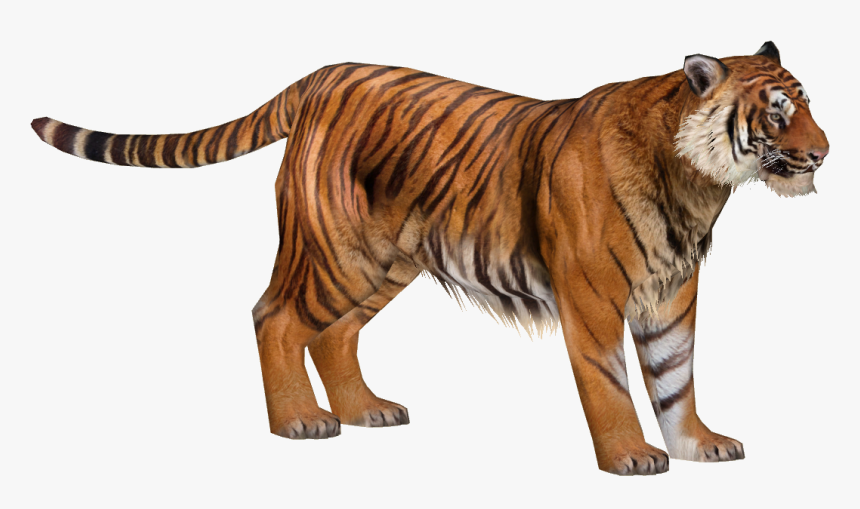 Zoo Tycoon 2 Tiger, HD Png Download , Transparent Png Image - PNGitem