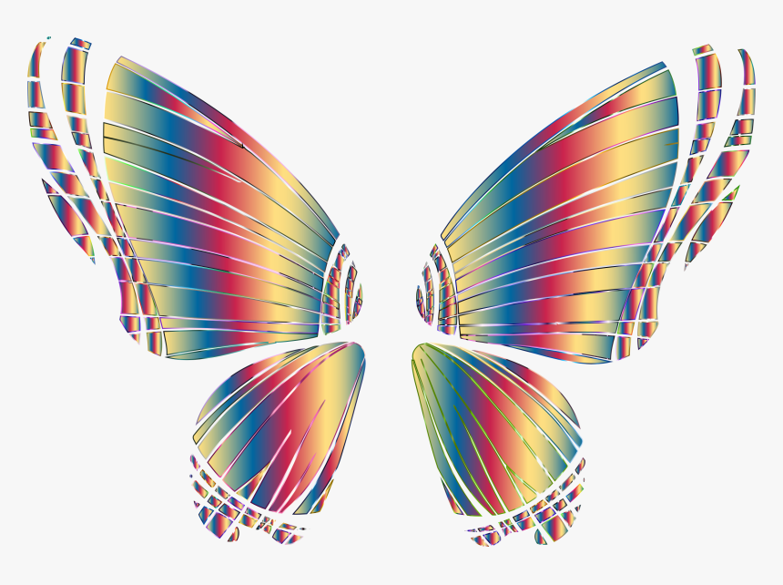 Butterfly,symmetry,moth - Transparent Background Butterfly Wings ...