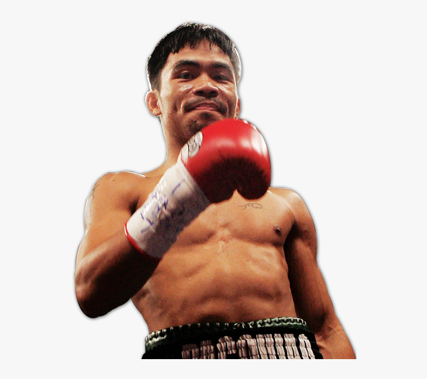 Professional Boxing, HD Png Download , Transparent Png Image - PNGitem