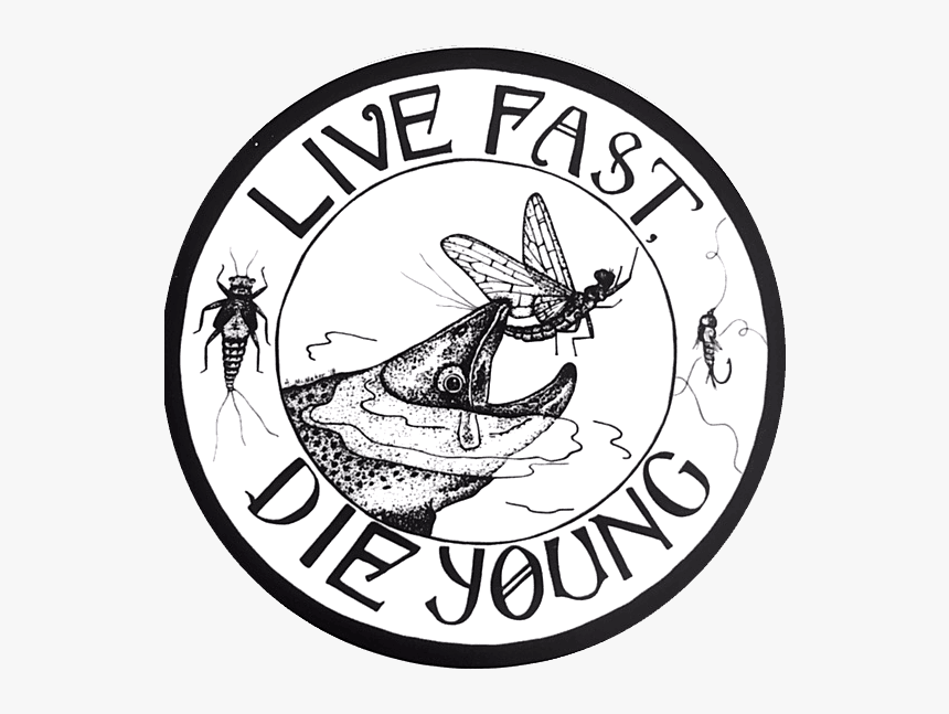 Amy Mcmahon Live Fast Die Young Sticker - Cartoon, HD Png Download ...