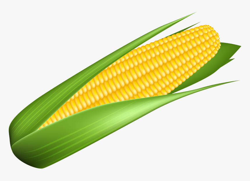 Corn Transparent Image - Transparent Background Corn Clipart, HD Png ...