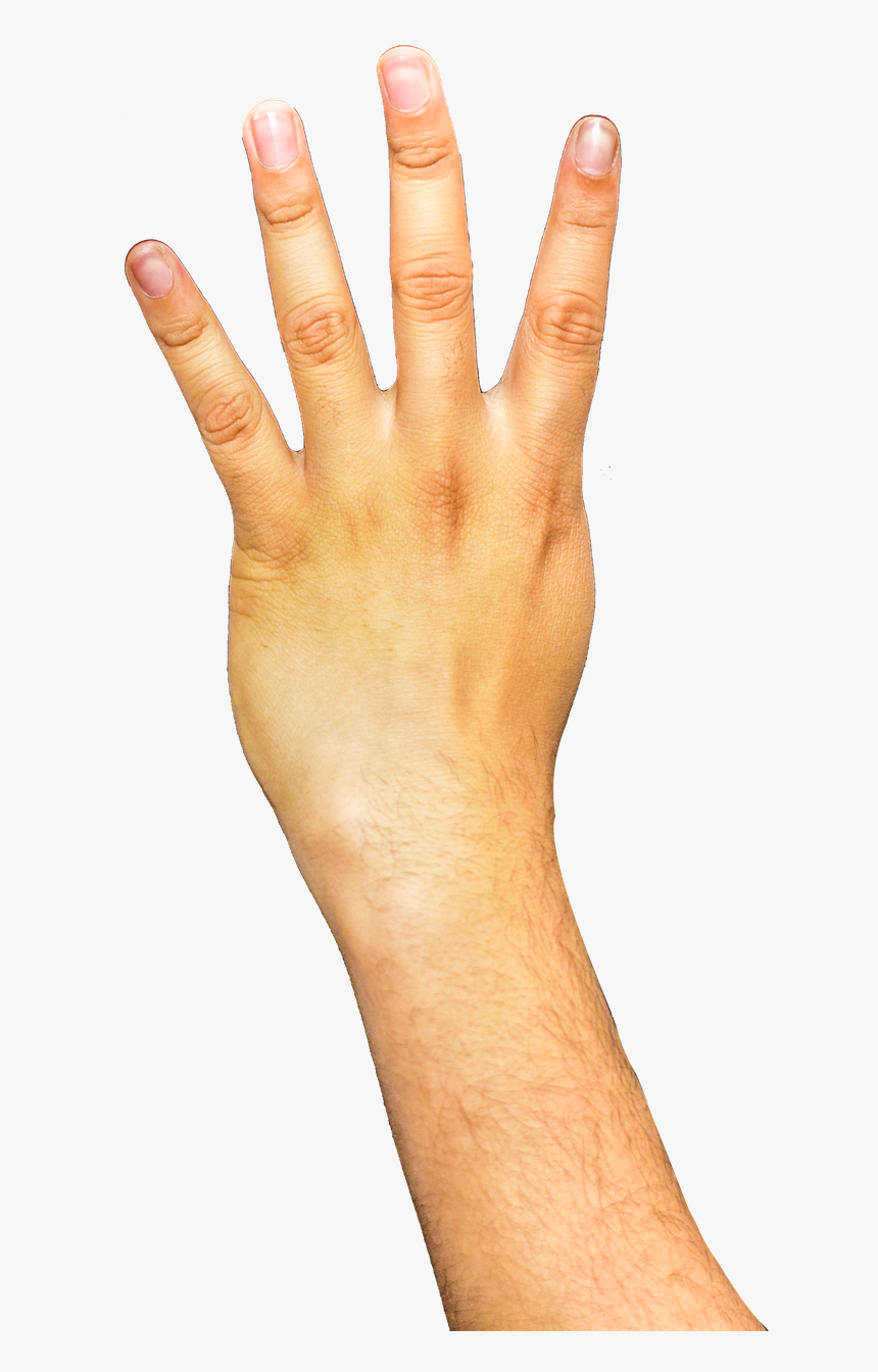 Hands, Fingers, Arm, Png - Transparent Background Arm Transparent, Png ...