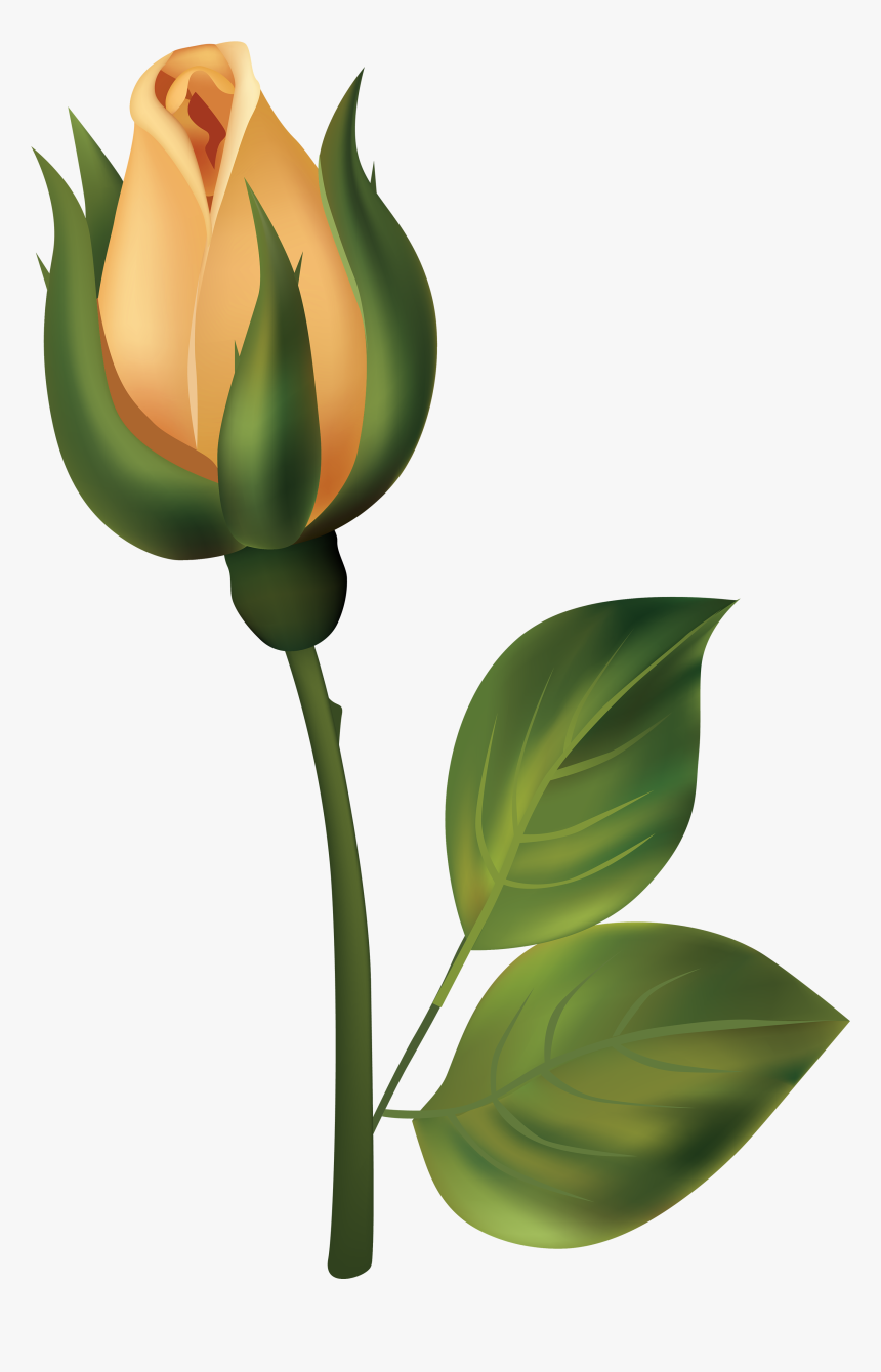 Yellow Rose Bud Png Clipart - Flower Bud Clip Art, Transparent Png ...