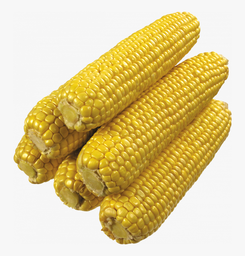 Grab And Download Corn Png Image - Corn On The Cob No Background ...