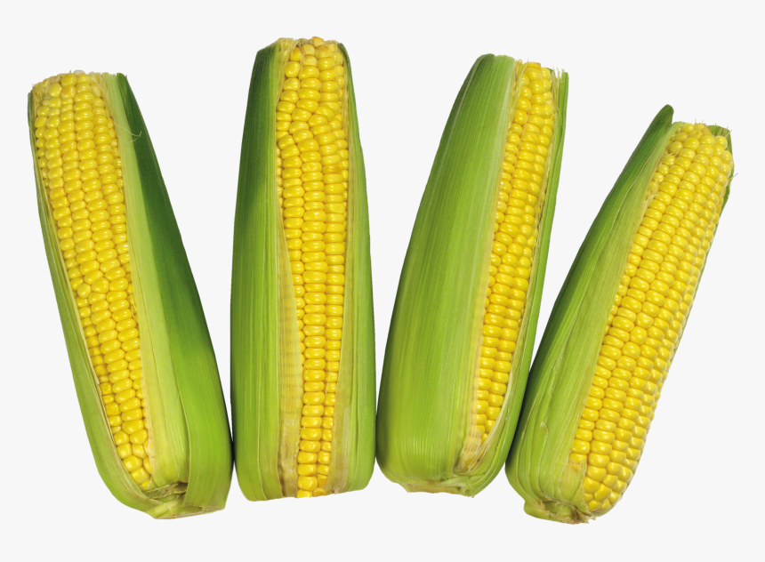 Maize, HD Png Download , Transparent Png Image - PNGitem