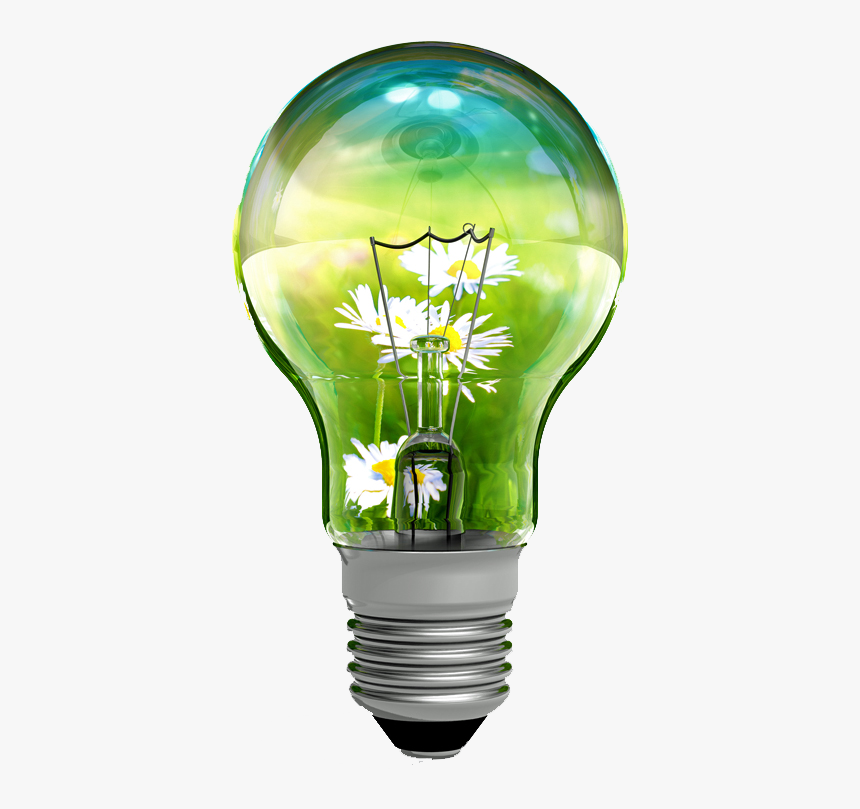 White Light Bulb Go Green Images