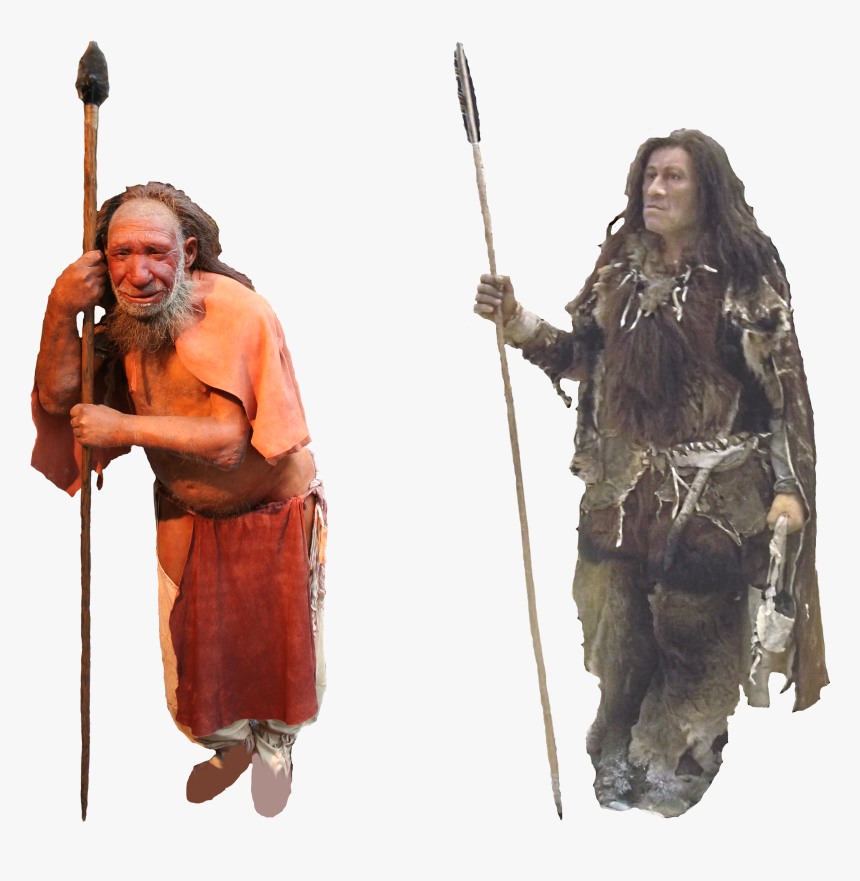 Comparison Of Neanderthal And Homo Sapiens - European Early Modern ...