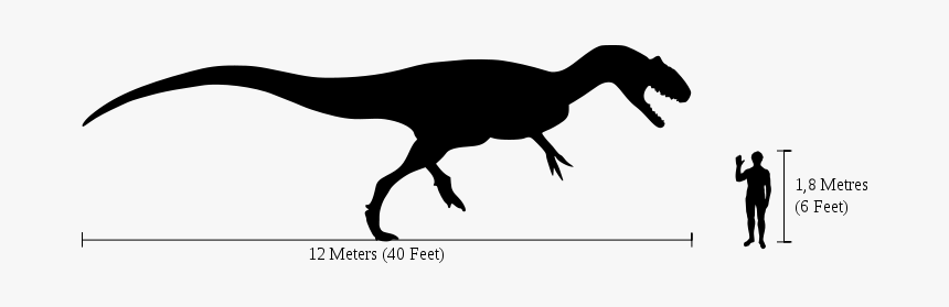 Human-allosaurus Size Comparison - Allosaurus Size Comparison To Human ...