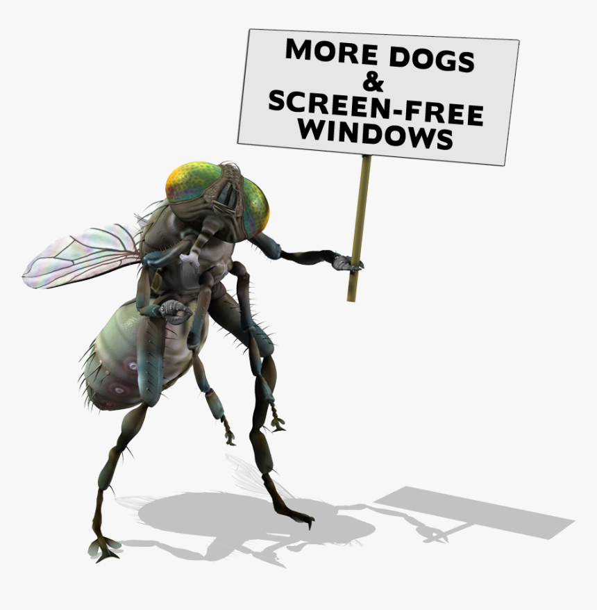 Fly Sign - Pest Management, HD Png Download , Transparent Png Image ...