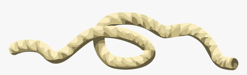 String Rope Transparent, HD Png Download , Transparent Png Image - PNGitem