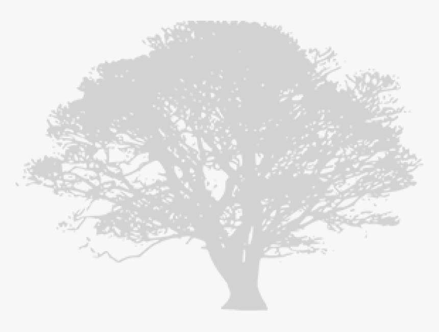 Green Tree Silhouette Png, Transparent Png , Transparent Png Image ...