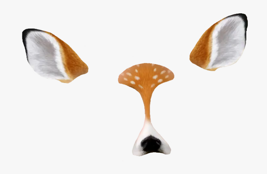 Transparent Background Snapchat Filters Transparent, HD Png Download ...