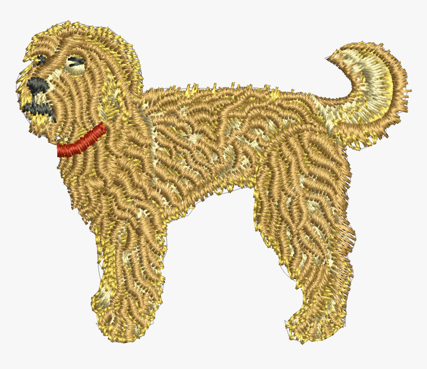 Labradoodle, HD Png Download , Transparent Png Image - PNGitem
