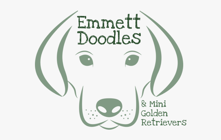 Emmett Goldendoodles And Mini Golden Retrievers - English Foxhound, HD ...