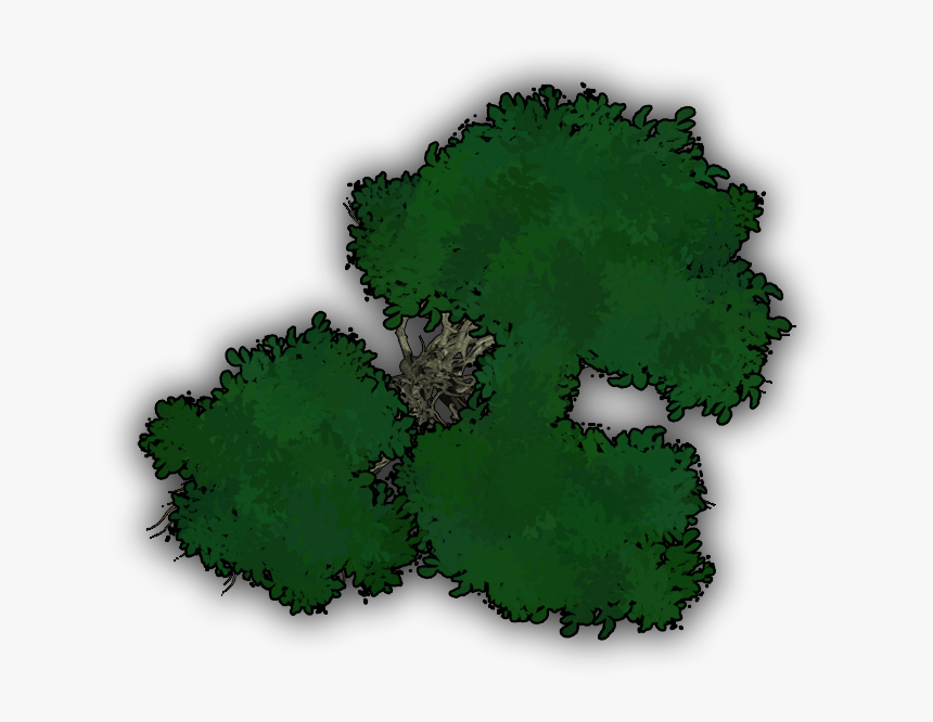 Transparent Hidden Leaf Village Symbol Png - Rpg Tree Token, Png ...