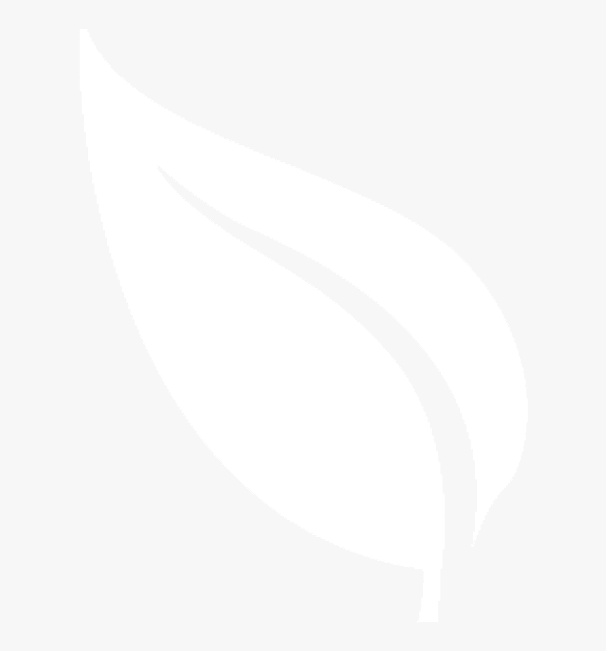 Transparent White Leaf Png, Png Download , Transparent Png Image - PNGitem