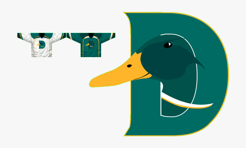 Mallard, HD Png Download , Transparent Png Image - PNGitem