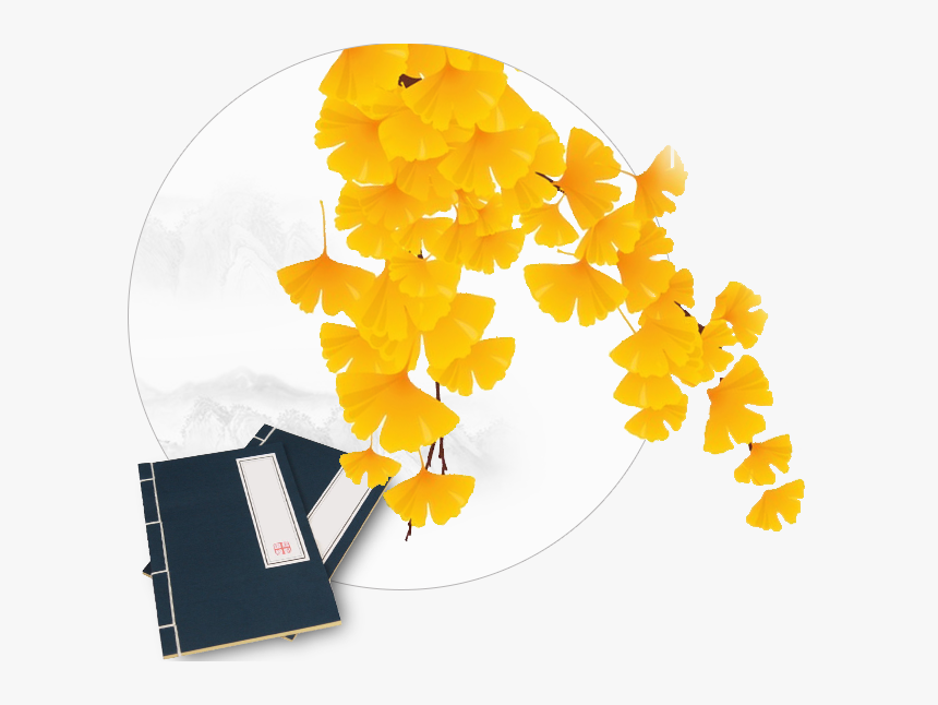 Ginkgo Tree Png, Transparent Png , Transparent Png Image - PNGitem
