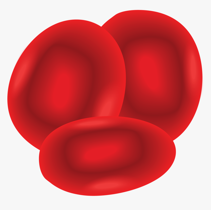 Illustration Of Red Blood Cells - Circle, HD Png Download , Transparent ...