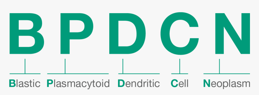 Bpdcn - Logotype, HD Png Download , Transparent Png Image - PNGitem