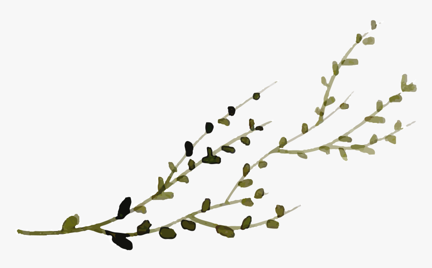 Twig, HD Png Download , Transparent Png Image - PNGitem