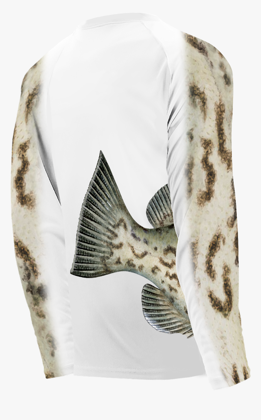 Shell, HD Png Download , Transparent Png Image - PNGitem