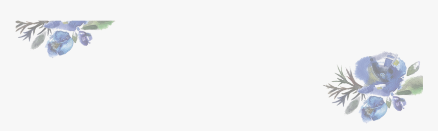 Floral Header , Png Download - Parallel, Transparent Png , Transparent ...