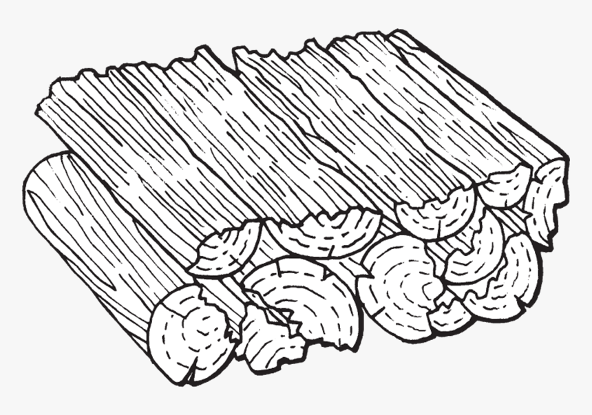 Wood Drawing At Getdrawings - Wood Logs Sketch Png, Transparent Png ...