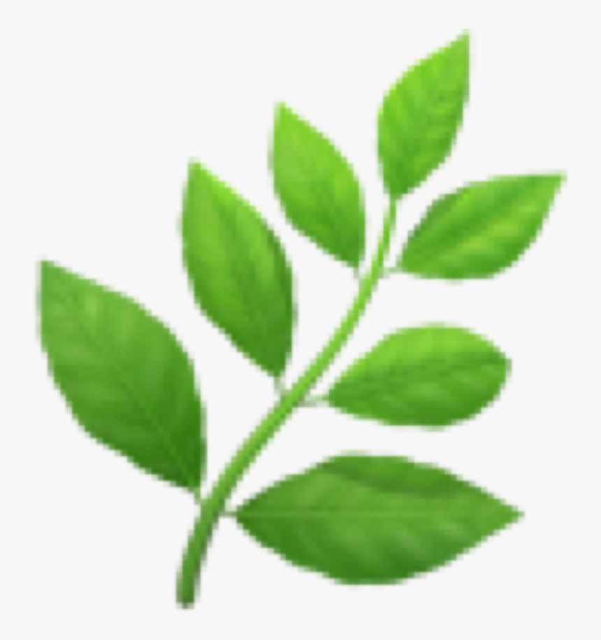 Leaves Emoji Emoticon Iphone Iphoneemo - Herb Emoji Transparent, HD Png ...