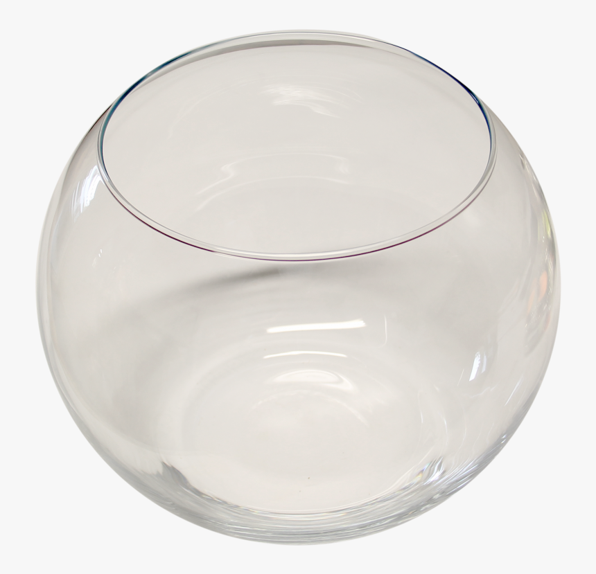 Aquarium Png - Bowl, Transparent Png , Transparent Png Image - PNGitem