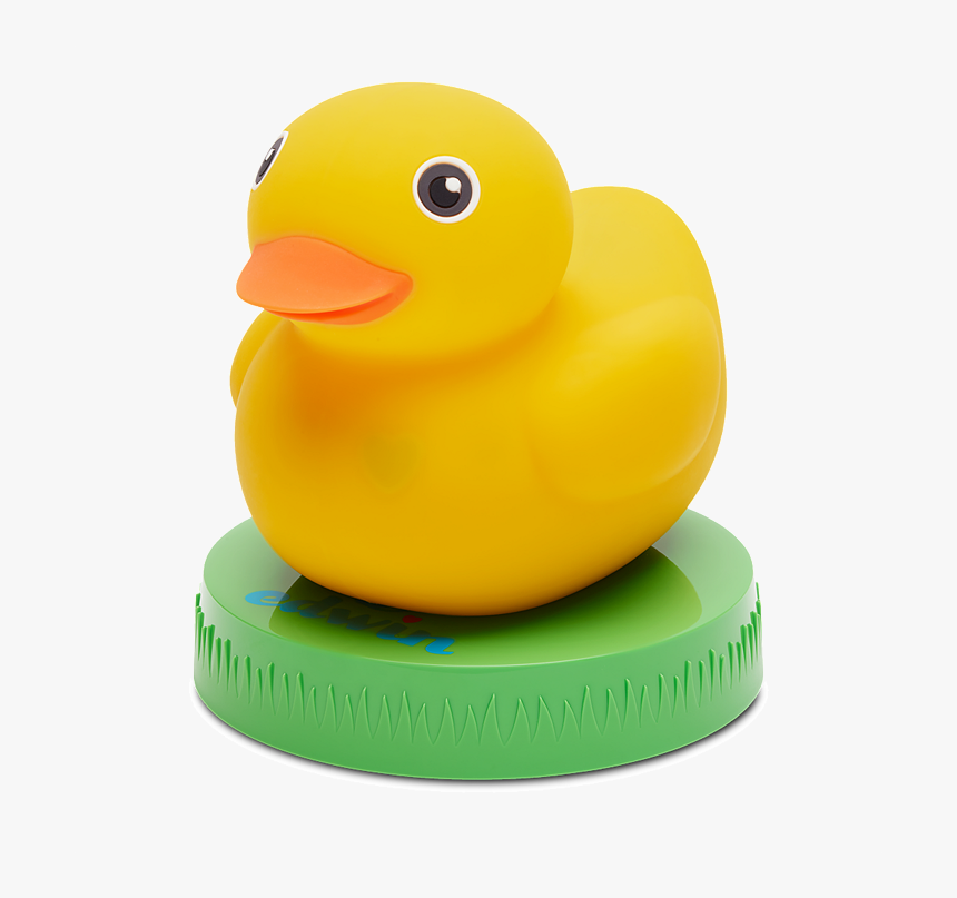 Duck, HD Png Download , Transparent Png Image - PNGitem