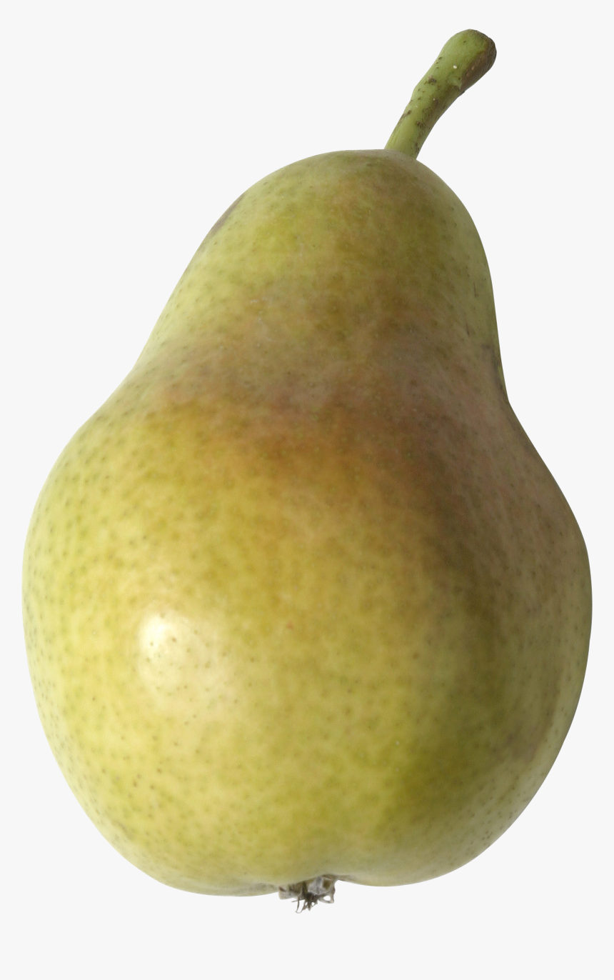 Pear Tree Png Translucent - Pear Transparent Png, Png Download ...