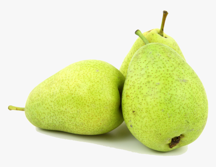 Pear Tree Png, Transparent Png , Transparent Png Image - PNGitem
