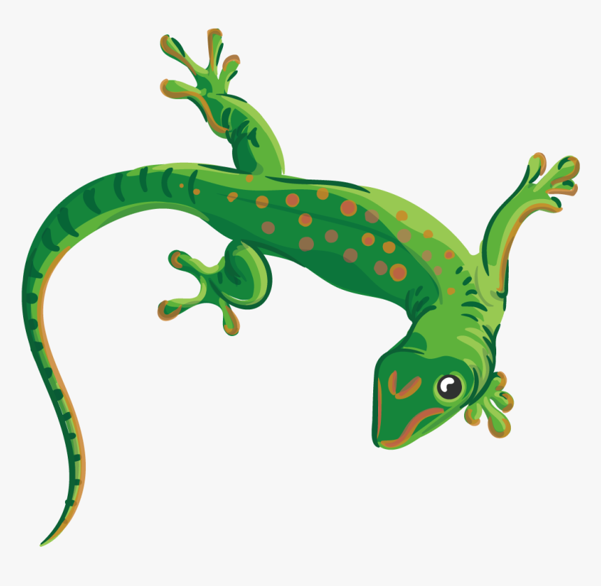 Collection Of Free Lizard Vector Reptile - Transparent Background ...