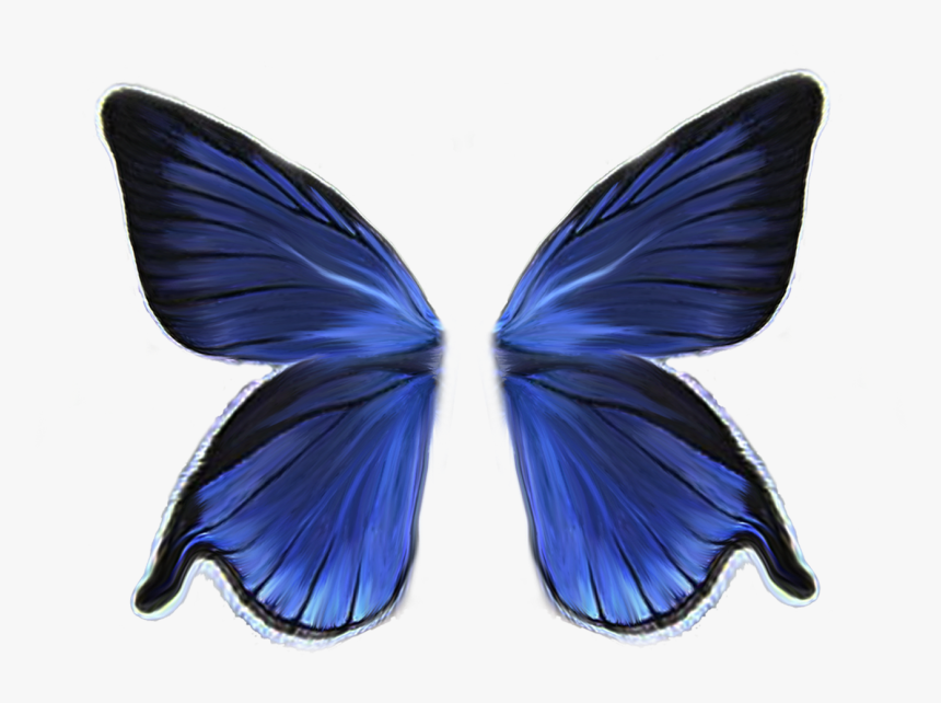 Butterfly Wings No Background, HD Png Download , Transparent Png Image ...