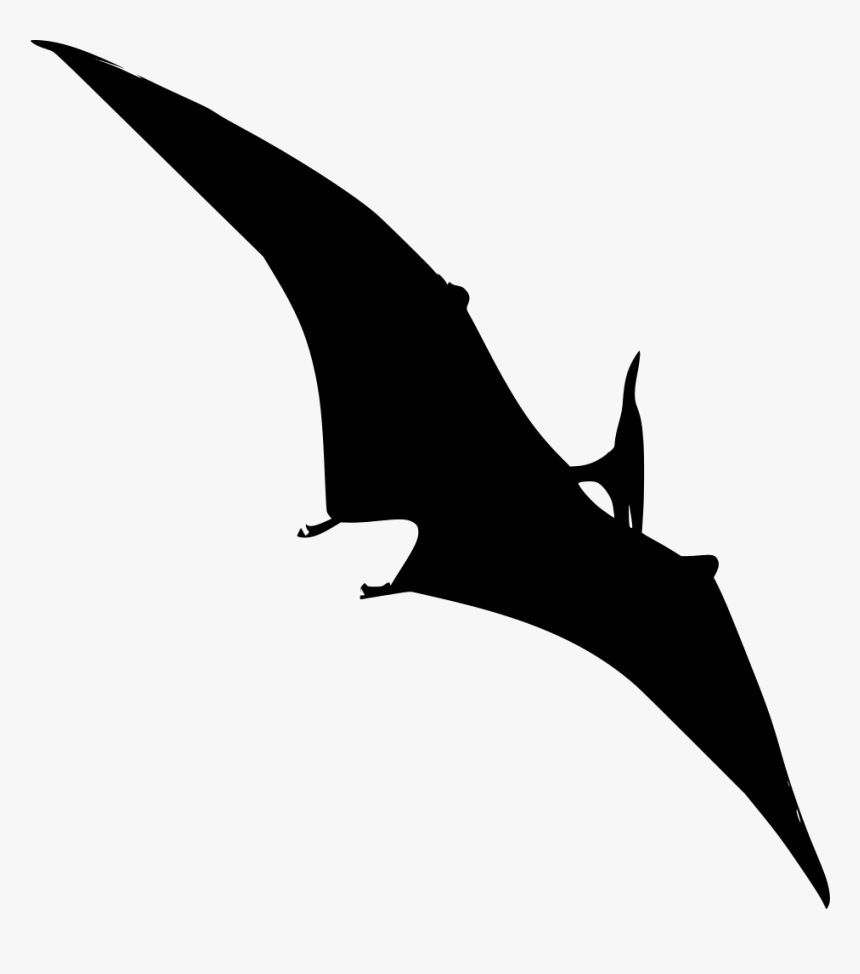 Orange Dinosaur Wings Fly - Color Dinosaur Silhouette Clipart, HD Png ...