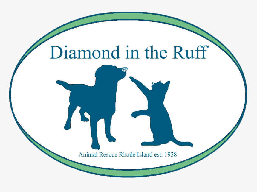 Humans And Animals Equal, HD Png Download , Transparent Png Image - PNGitem